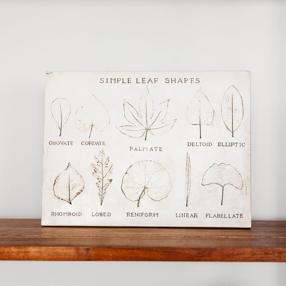 Simple Leaf Shapes – House Parts, Inc.
