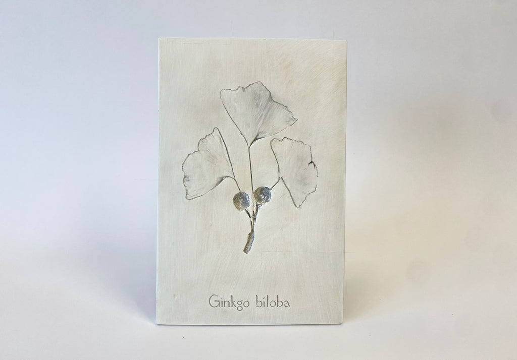 Botanical: Ginkgo – House Parts, Inc.