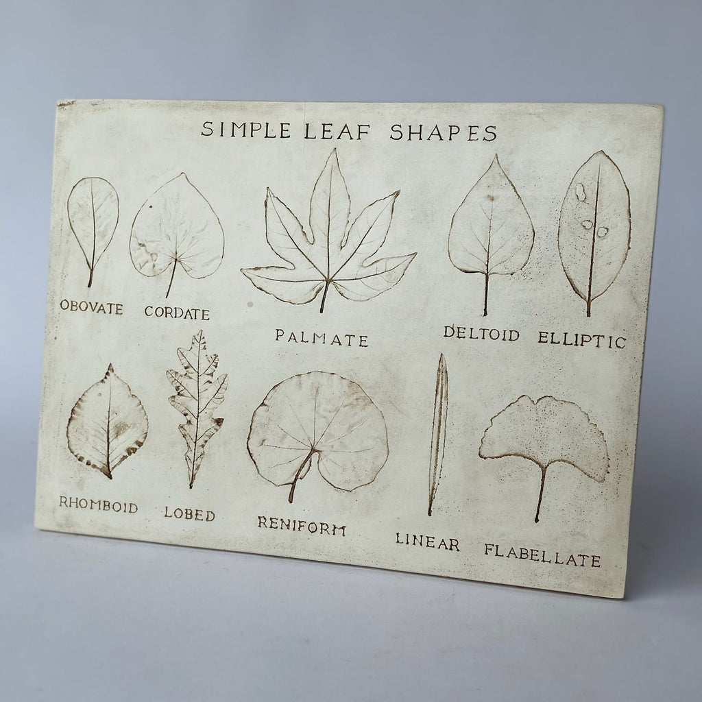 Simple Leaf Shapes – House Parts, Inc.