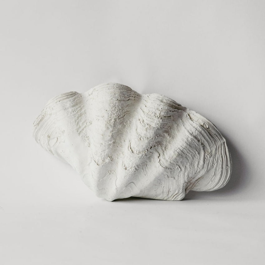 Large Clam Shell – House Parts, Inc.