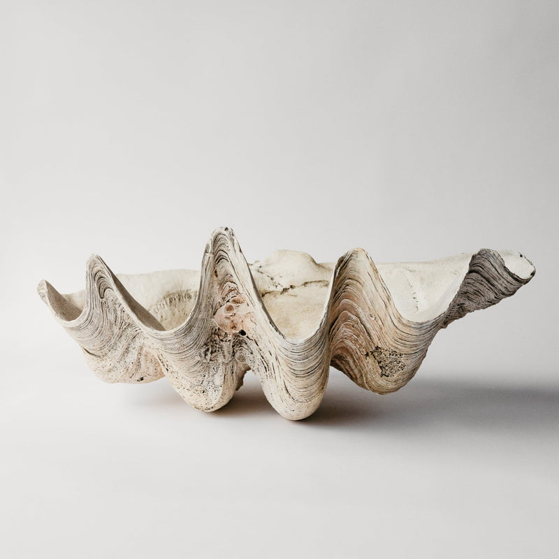 Indian Ocean Clam Shell – House Parts, Inc.