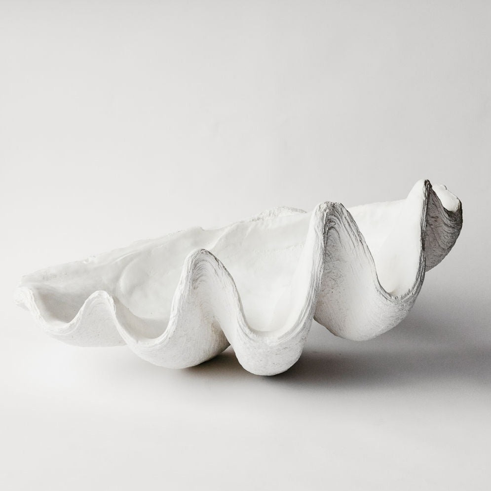 Giant Clam Shell – House Parts, Inc.