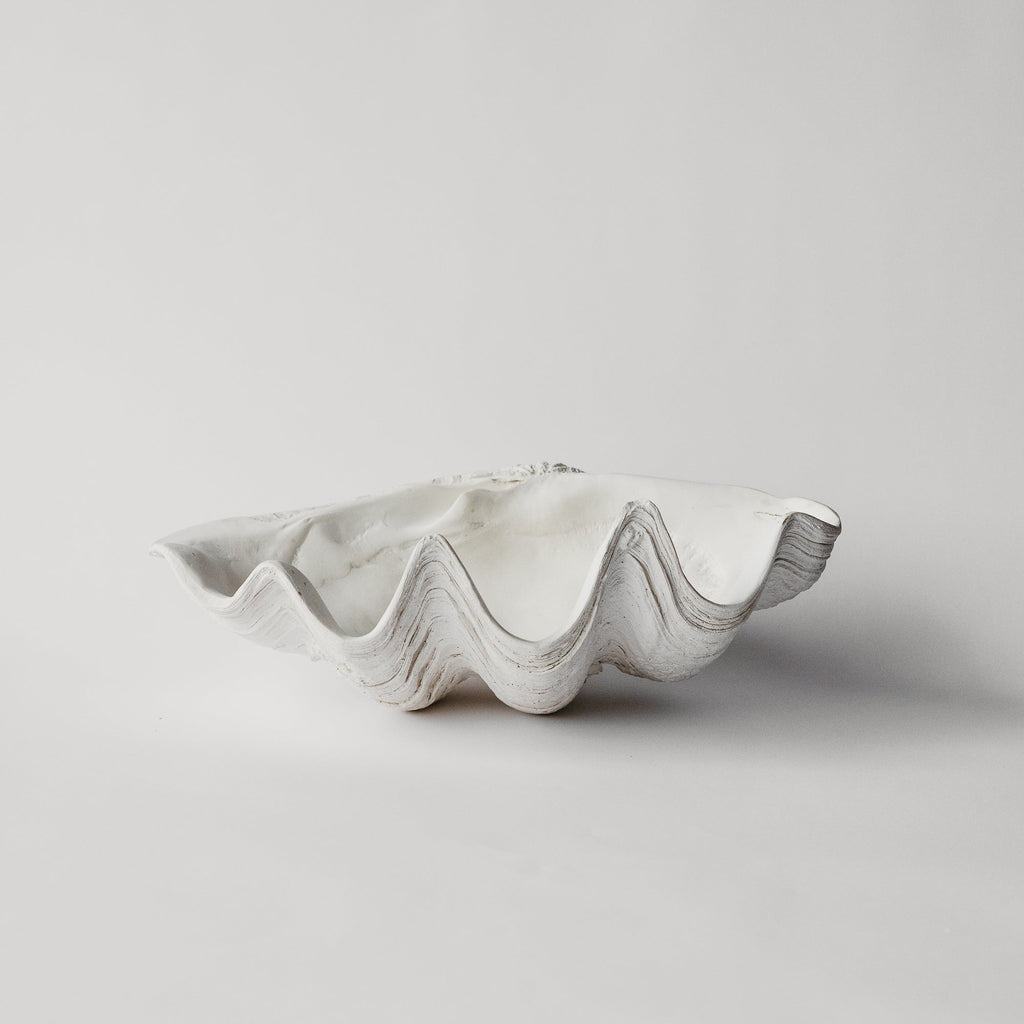 South Pacific Clam Shell – House Parts, Inc.